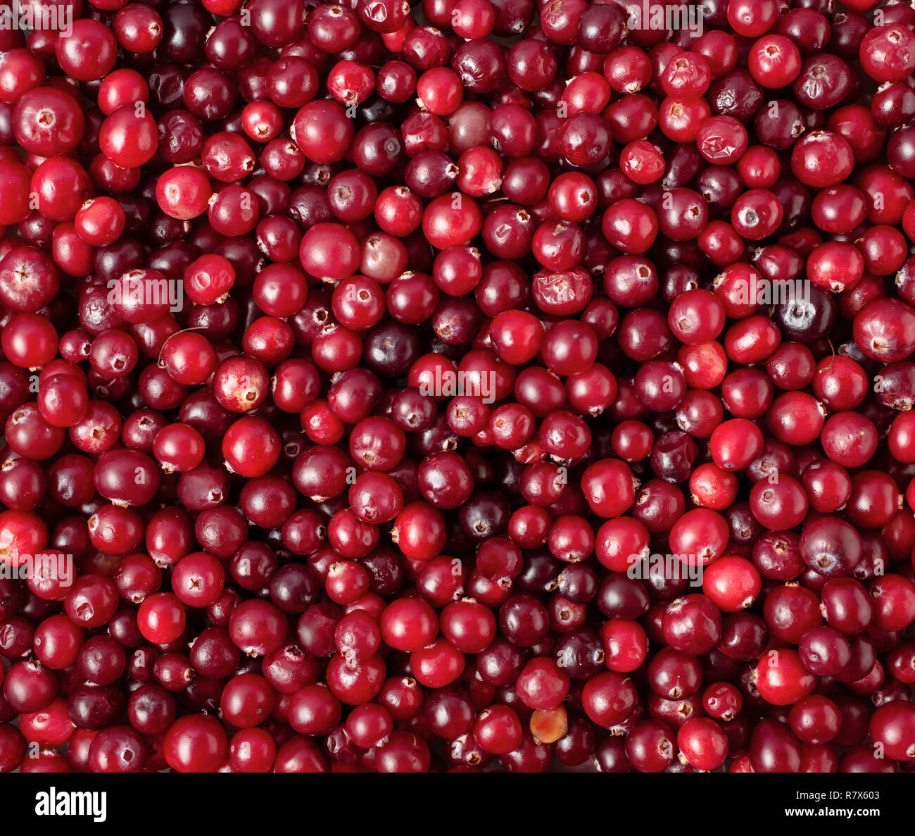 Ripe cranberry background Stock Photo - Alamy