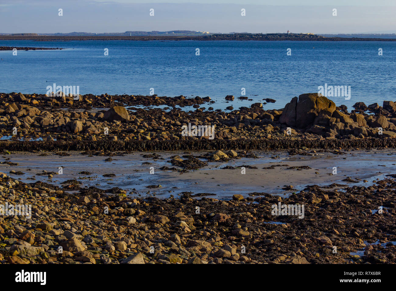 Rocks and sand at Salt hill beach, Galway, Ireland Stock Photo - Alamy