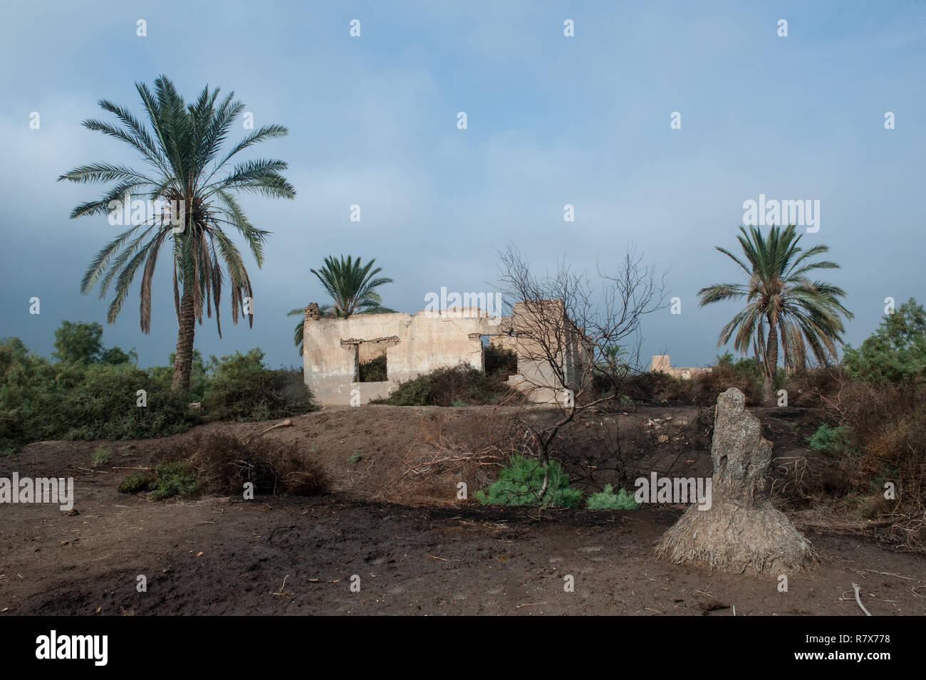 Southern Iraq Landscape