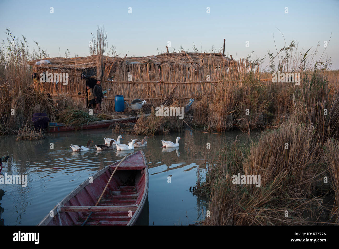 A family setting of buffalo herders in the Hamar Marsh in the Southern ...