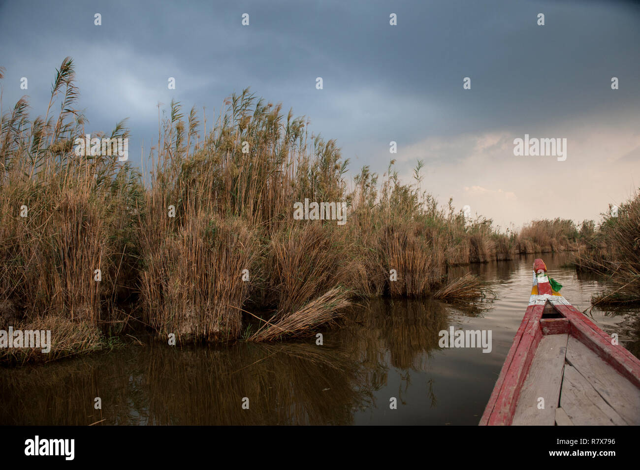 The prow of a traditional canoe seen entering the central marsh of ...
