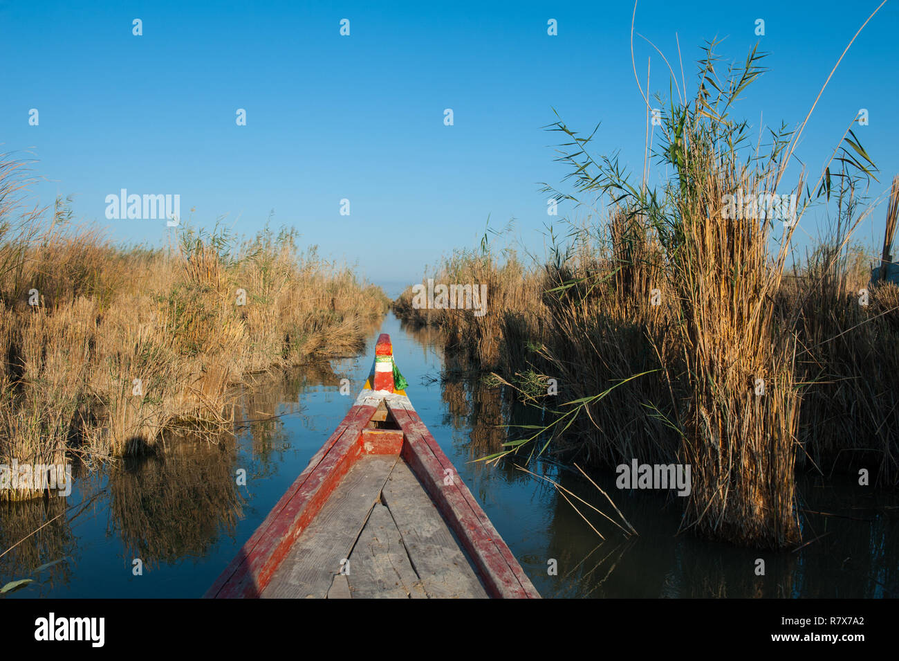 The prow of a traditional canoe seen entering the central marsh of ...