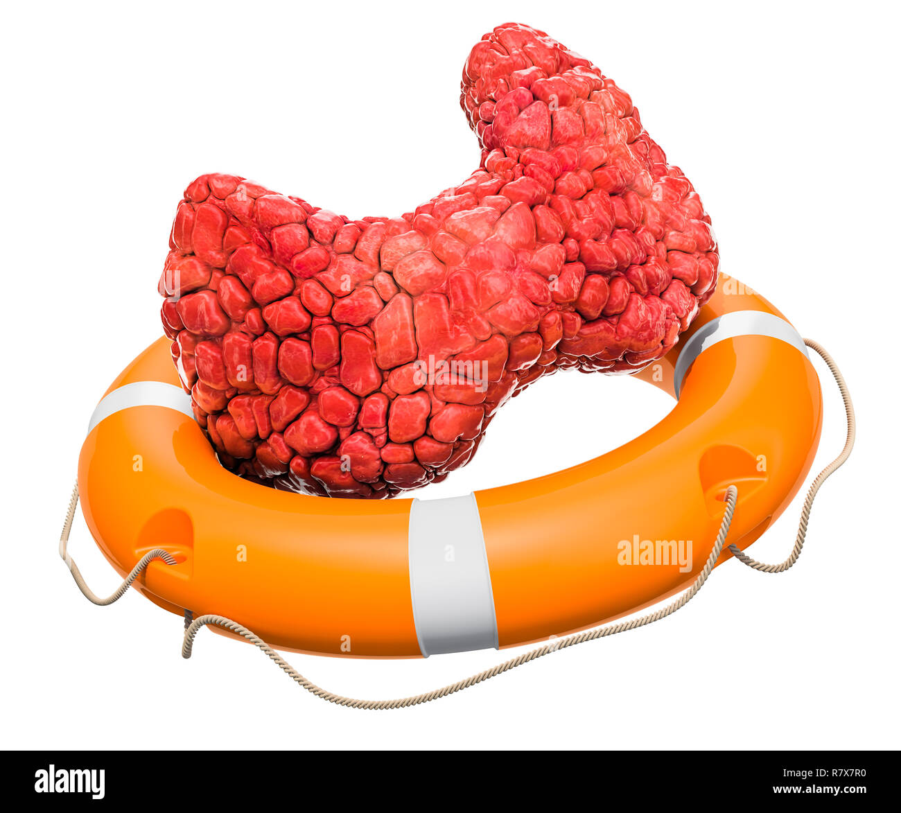 Human thyroid with lifebuoy, protect concept. 3D rendering isolated on ...