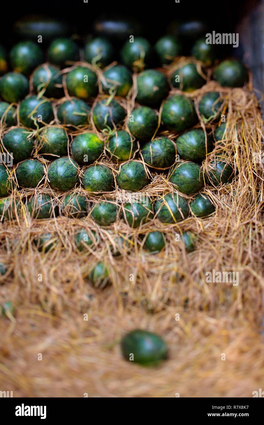 Vietnam, Hanoi, watermelon display Stock Photo - Alamy