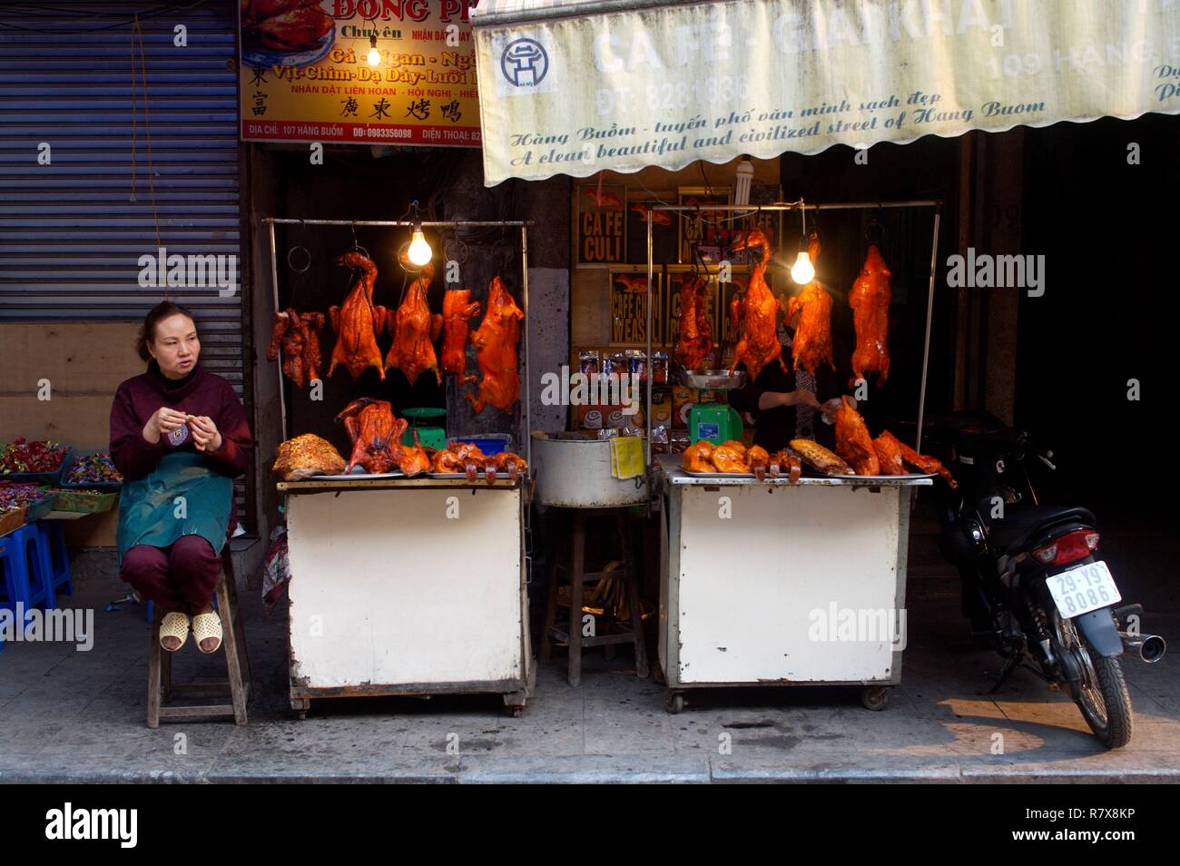 Lacquered Duck High Resolution Stock Photography and Images - Alamy