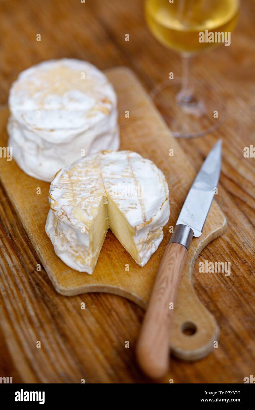 Chaource cheese hi-res stock photography and images - Alamy