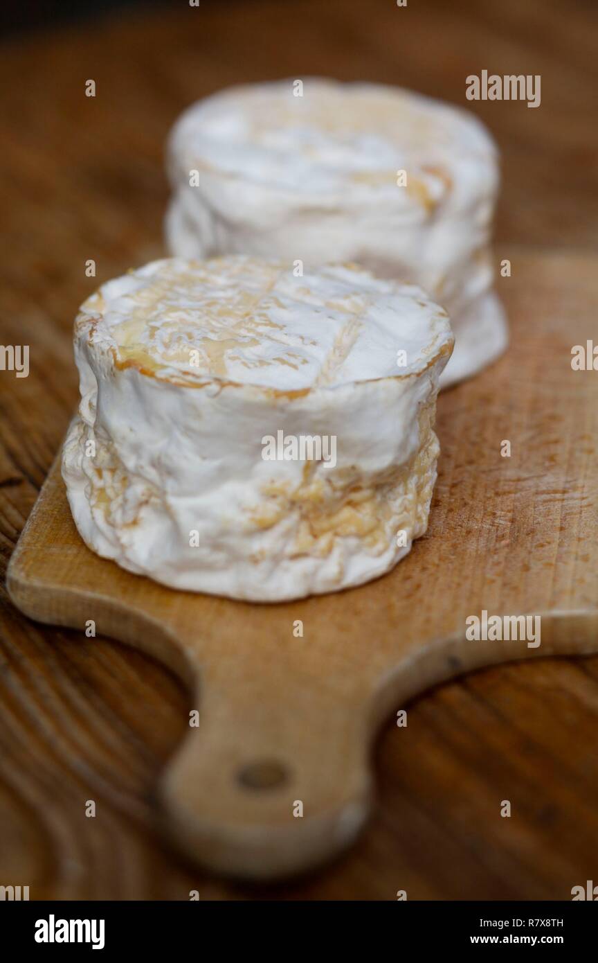 France, Aube, Troyes, the chaource Stock Photo - Alamy