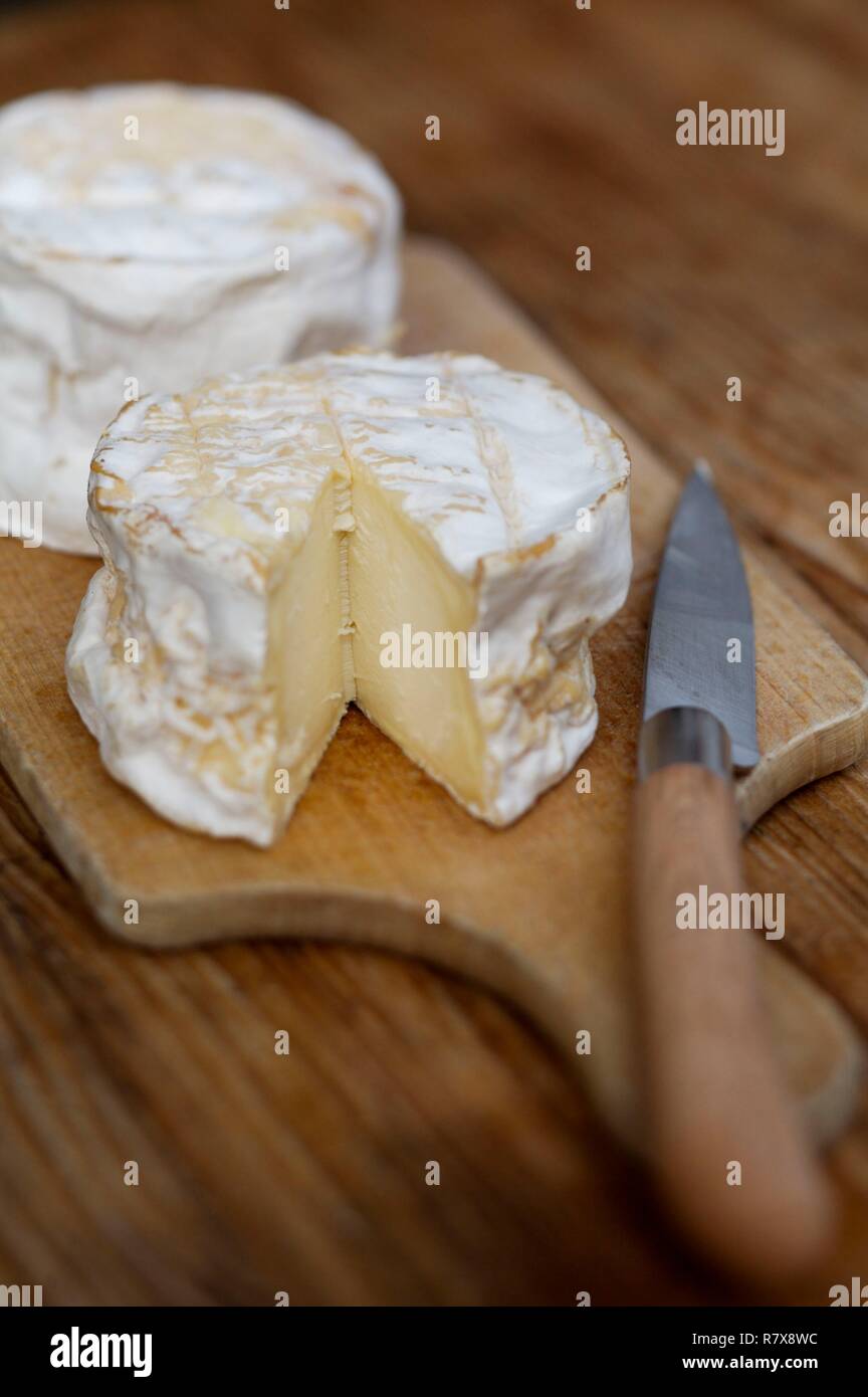 Chaource Cheese High Resolution Stock Photography and Images - Alamy