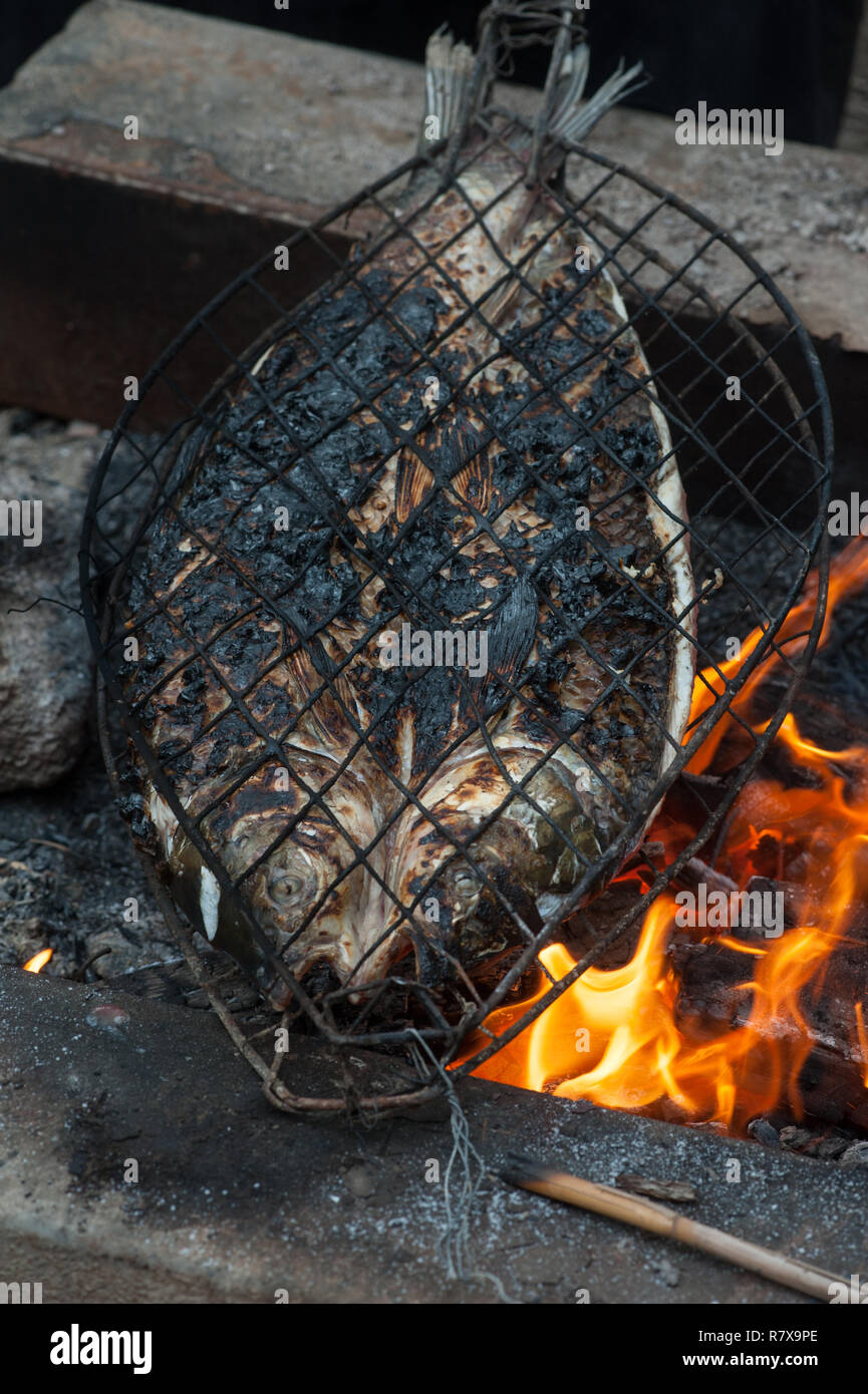Iraq Fish High Resolution Stock Photography and Images - Alamy