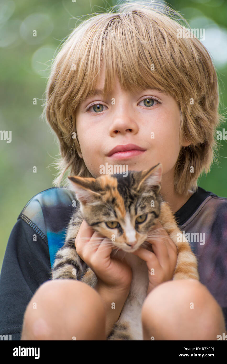 Child boy holding cat kitten hi-res stock photography and images - Alamy