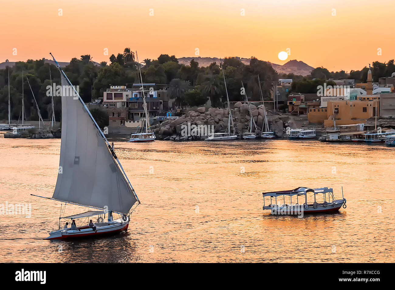 Felucca boat sailing on the Nile river at sunset in Aswan, Egypt Stock ...