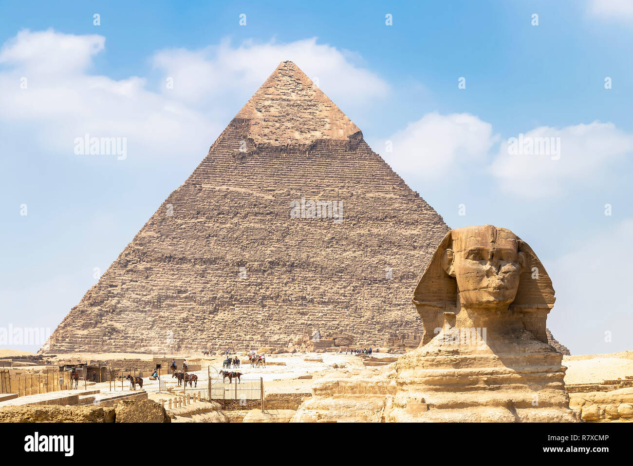 Spinx face on the Giza pyramid background, Cairo, Egypt Stock Photo - Alamy