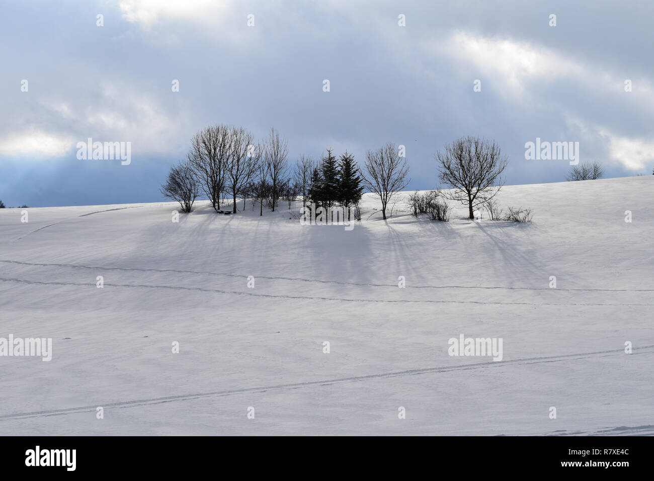 Urban winter landscapes hi-res stock photography and images - Alamy