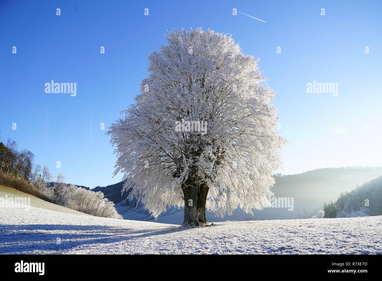 Beautiful background images hi-res stock photography and images - Alamy