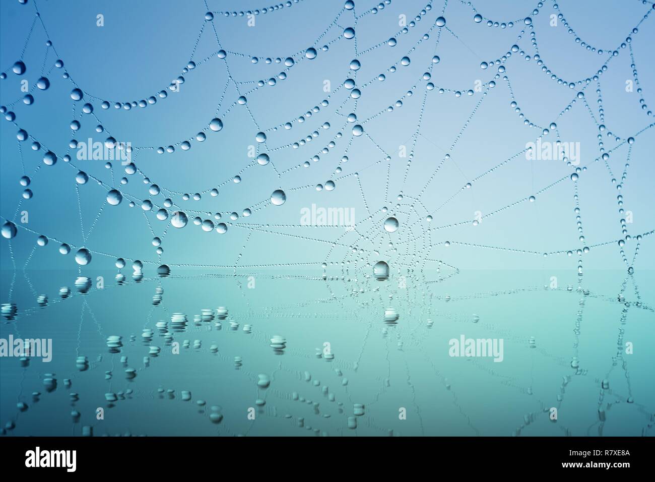 Background colours hi-res stock photography and images - Alamy