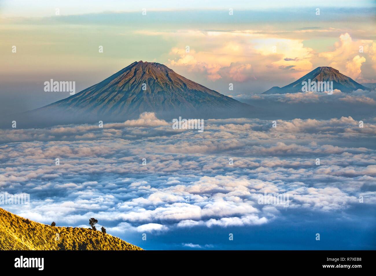 background image viewer Stock Photo - Alamy