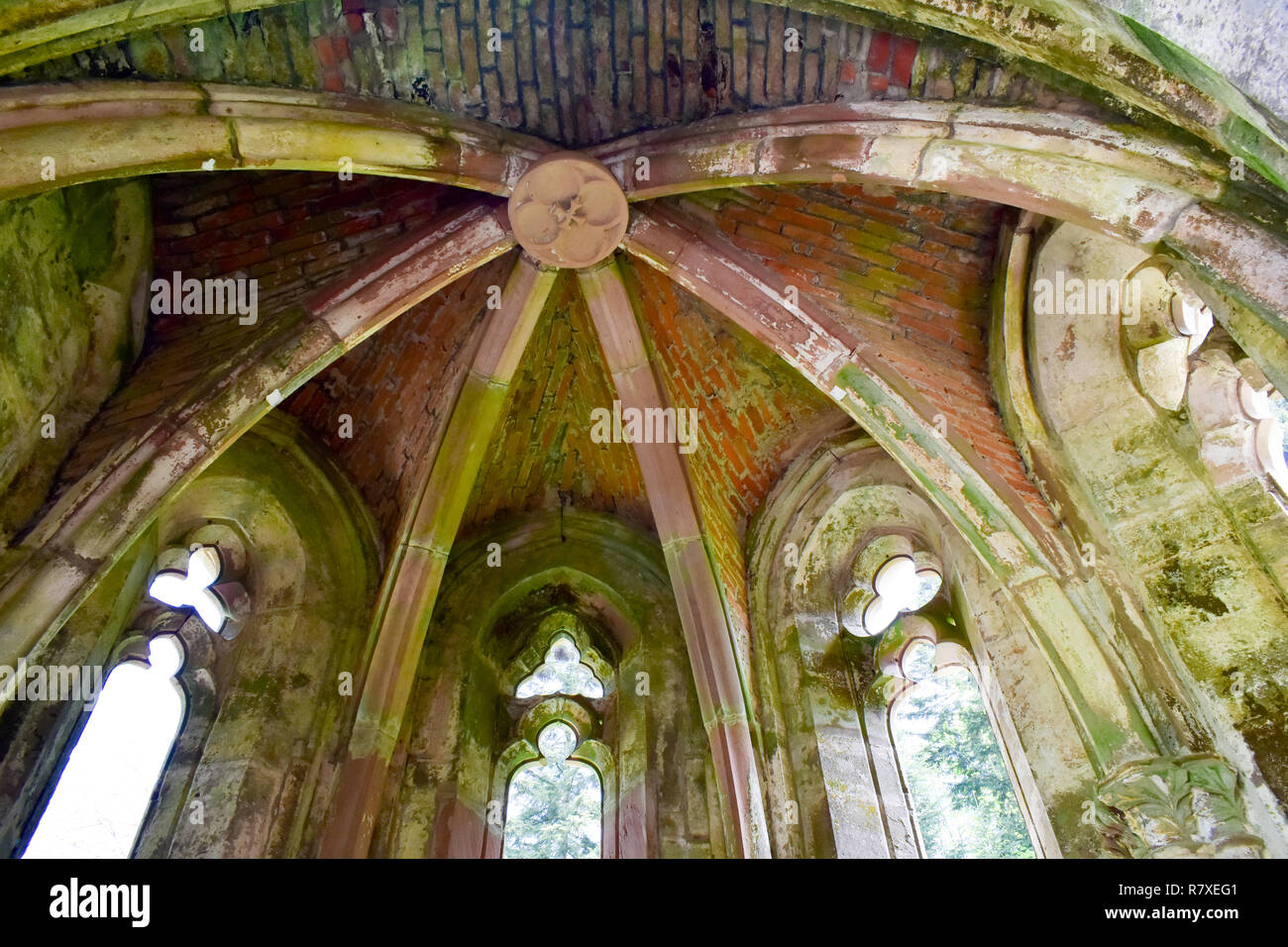 Medieval forest in middle age art hi-res stock photography and images ...