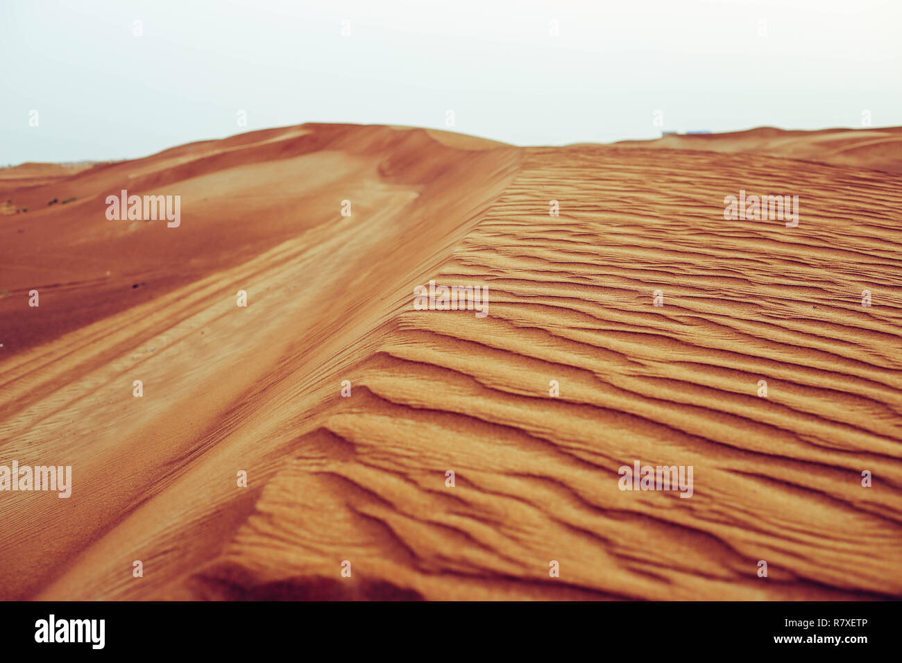 Sand road dubai hi-res stock photography and images - Alamy