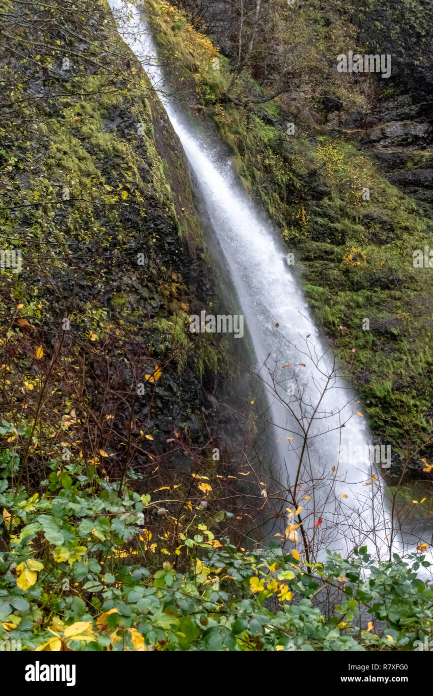 Horsetail Falls (Double-plunge) in the Columbia River Gorge, Oregon ...