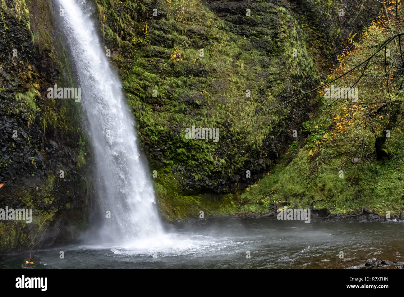 Horsetail Falls (Double-plunge) in the Columbia River Gorge, Oregon ...