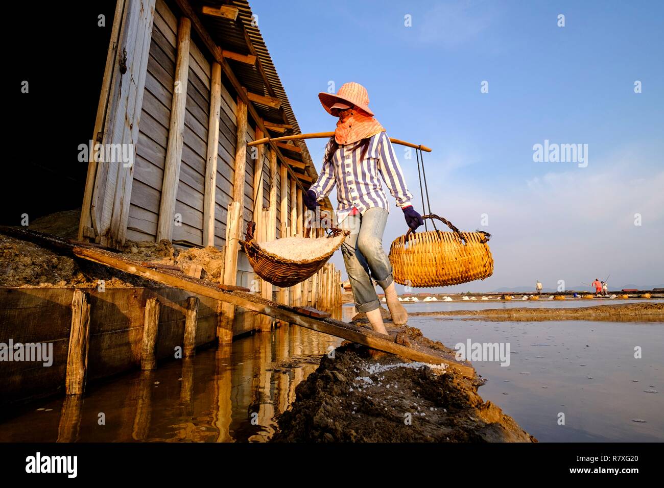 Cambodia, Kampot province, Kampot, salt pond, harvesting salt Stock ...