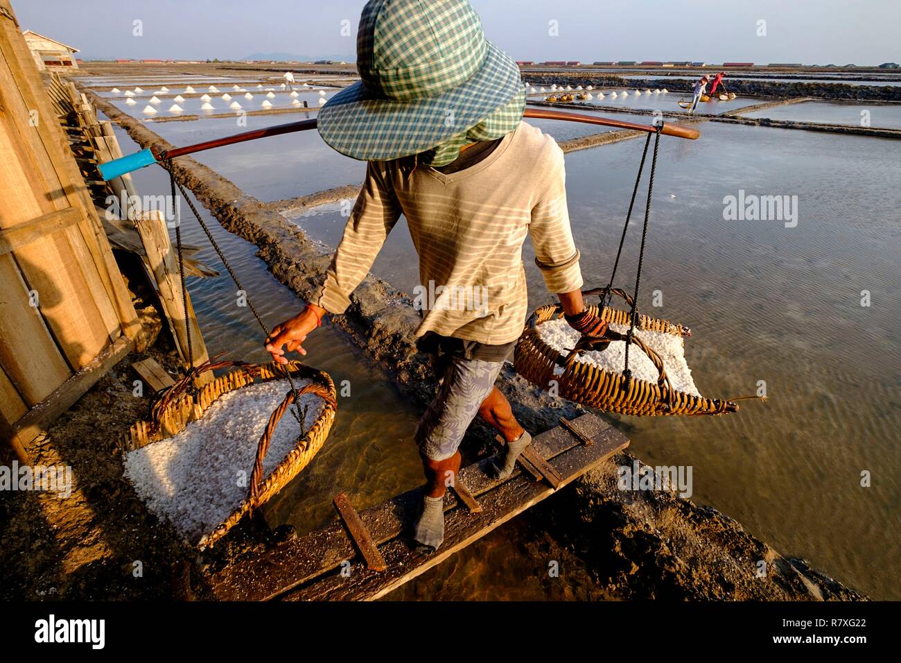 Cambodia, Kampot province, Kampot, salt pond, harvesting salt Stock ...