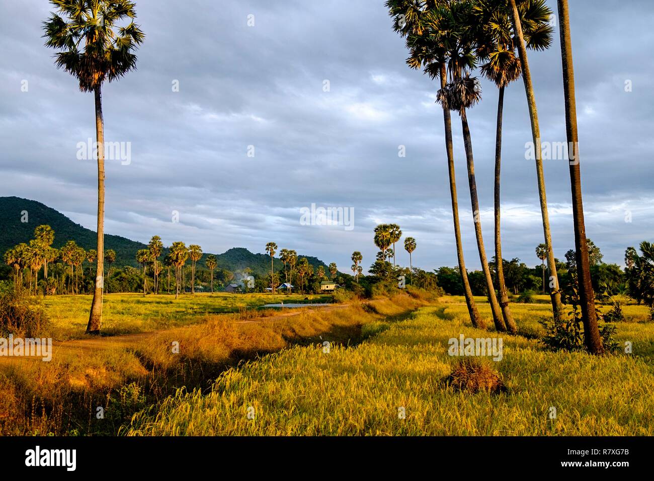 Kompong chhnang province hi-res stock photography and images - Alamy