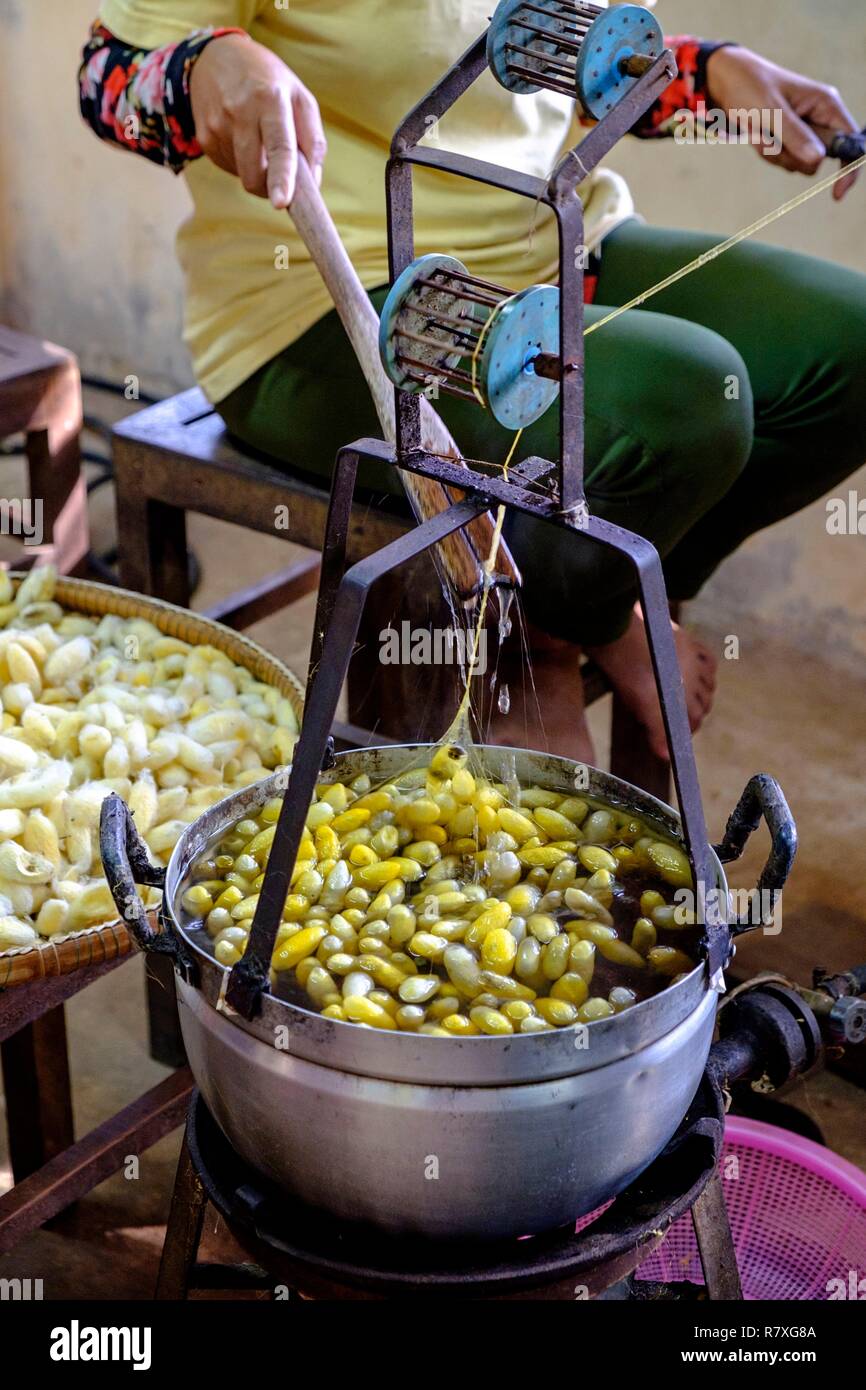 Cambodia, Siem Reap province, Angkor, handicraft, silk work, extracting ...