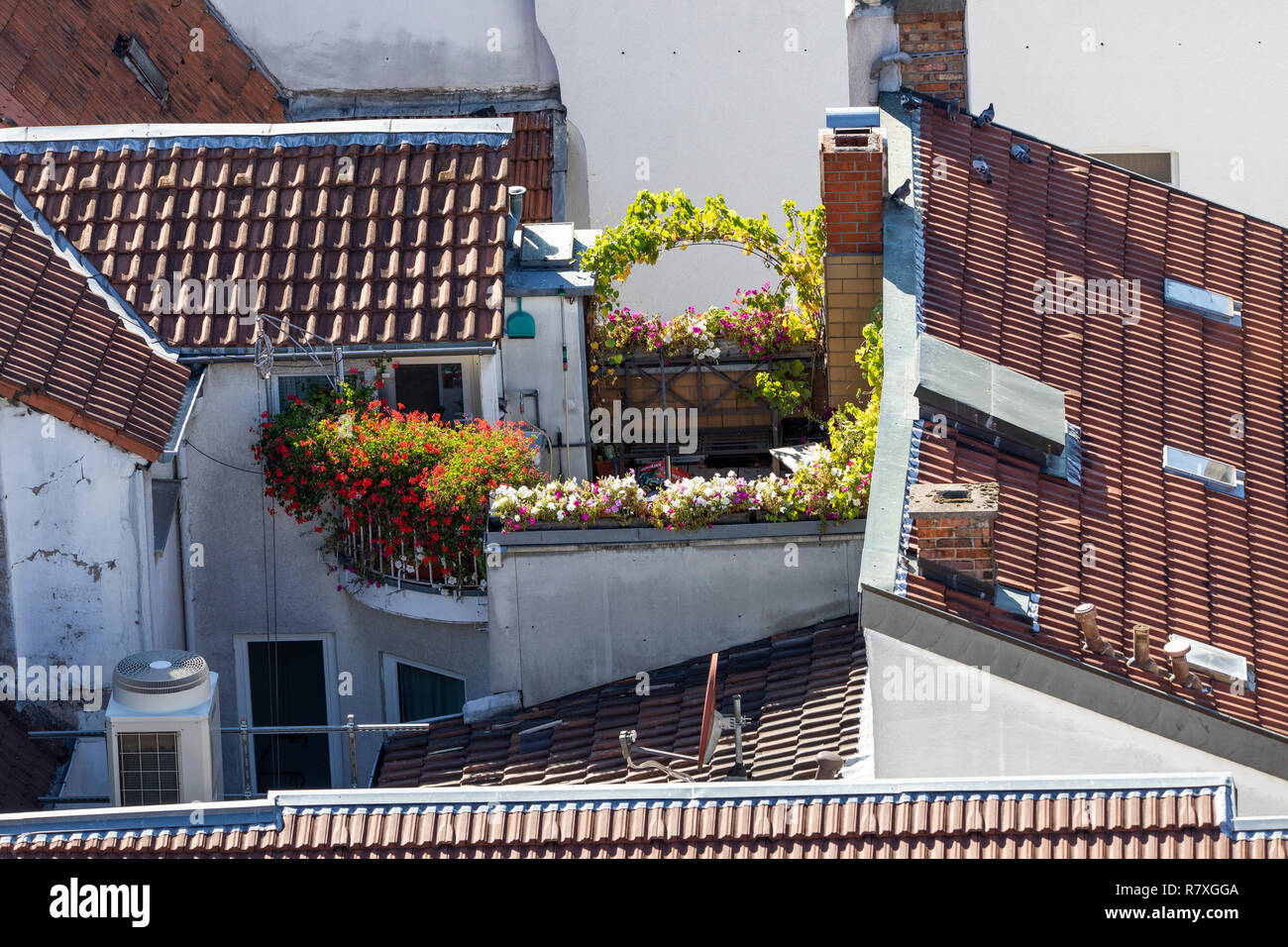 Old Town of Heidelberg, roof terrace, Germany Stock Photo - Alamy