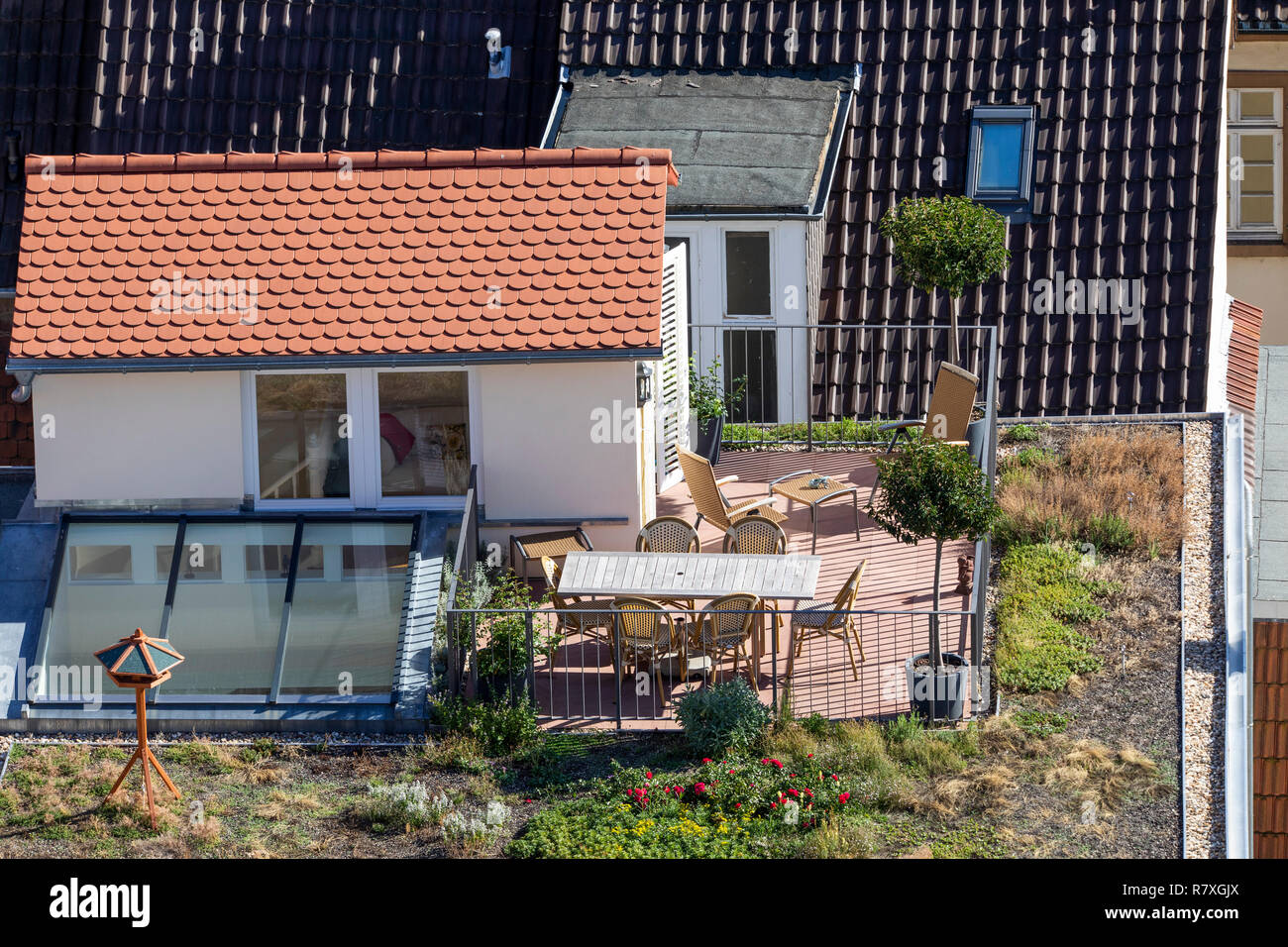 Old Town of Heidelberg, roof terrace, Germany Stock Photo - Alamy