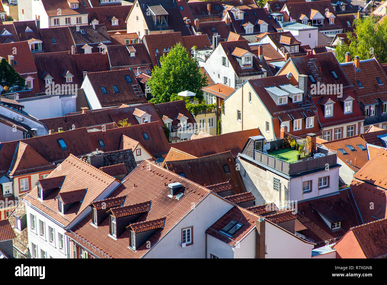 Old Town of Heidelberg, roof terrace, Germany Stock Photo - Alamy
