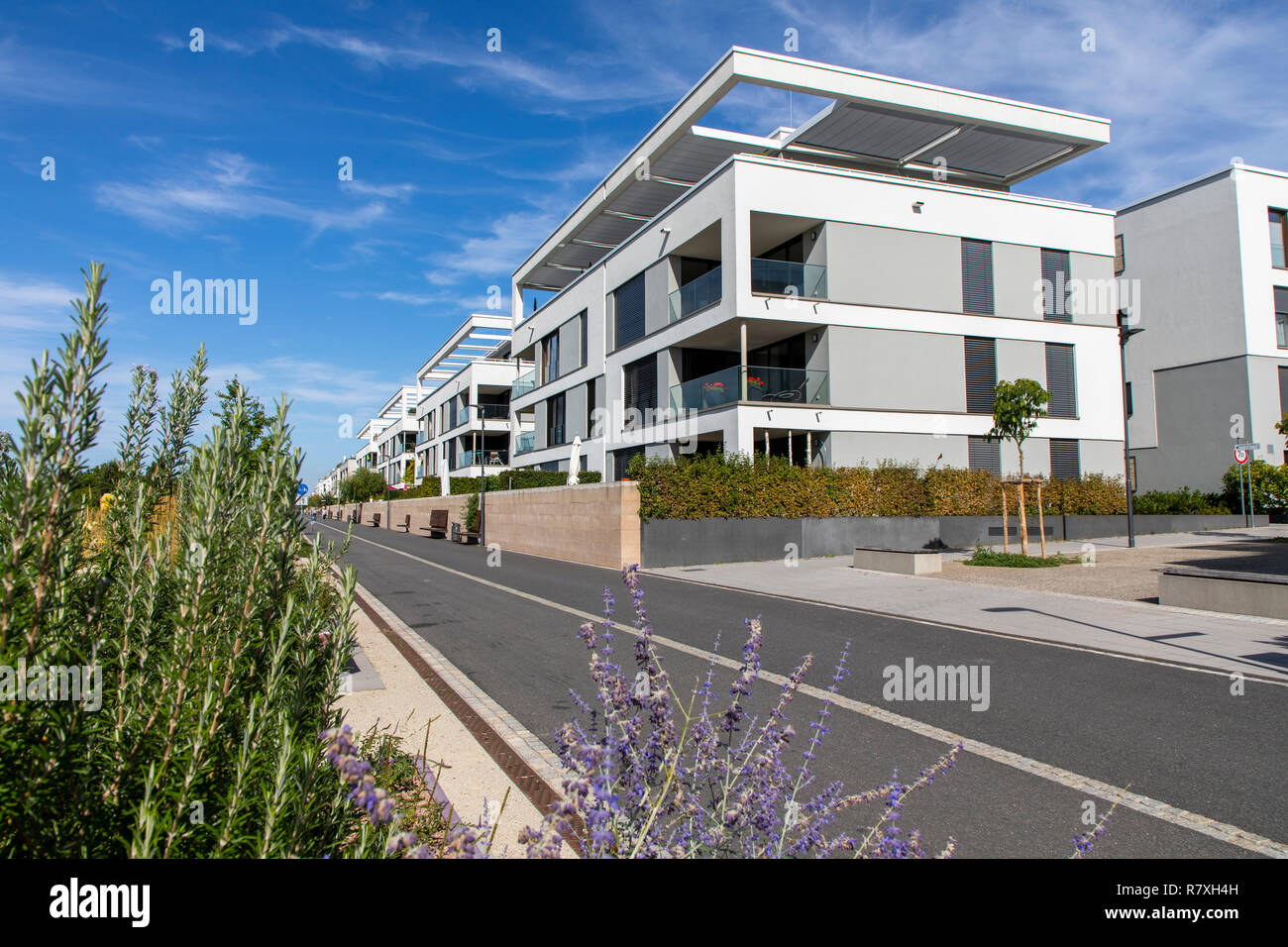 Heidelberg bahnstadt hi-res stock photography and images - Alamy