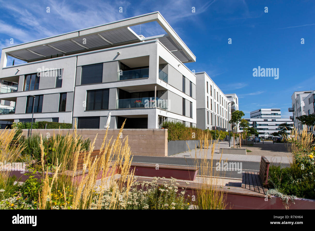 New city district Heidelberg-Bahnstadt, on a former railroad, promenade ...