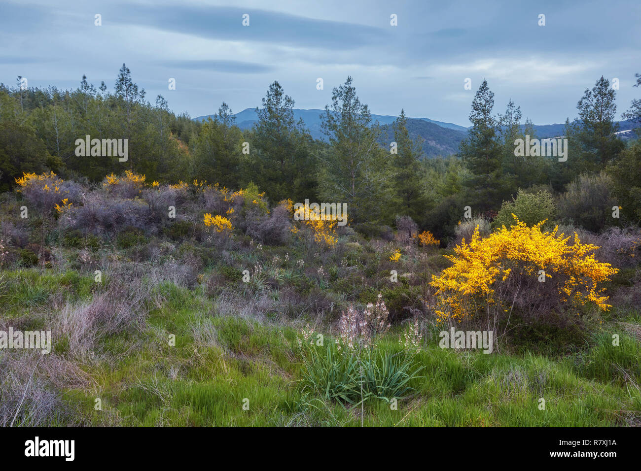 Palaichori dam hi-res stock photography and images - Alamy