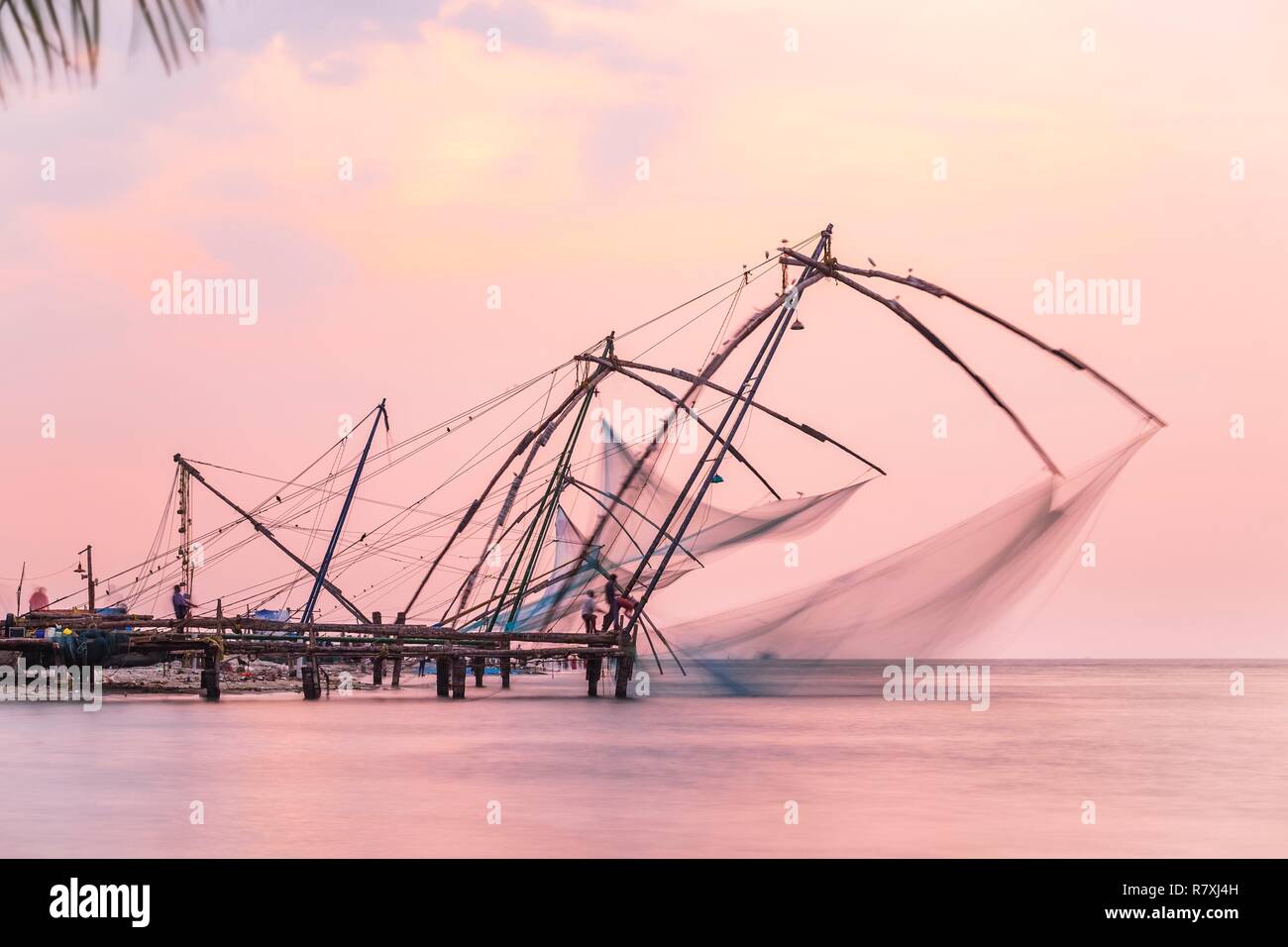 Inde, state of Kerala, Kochi (or Cochin), Fort Kochi (ou Fort Cochin ...