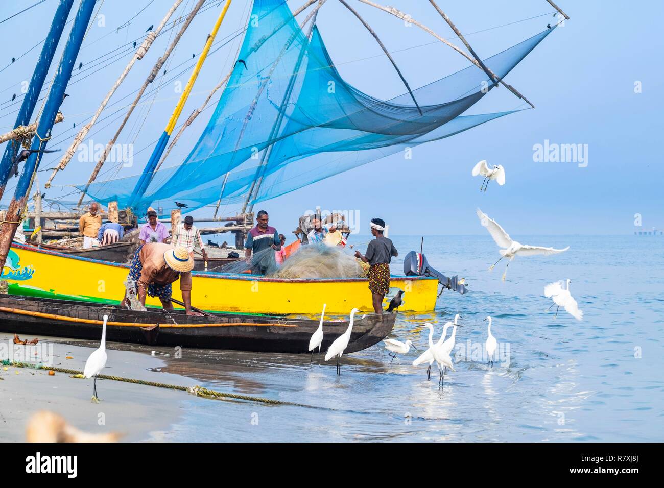 Inde, state of Kerala, Kochi (or Cochin), Fort Kochi (ou Fort Cochin ...