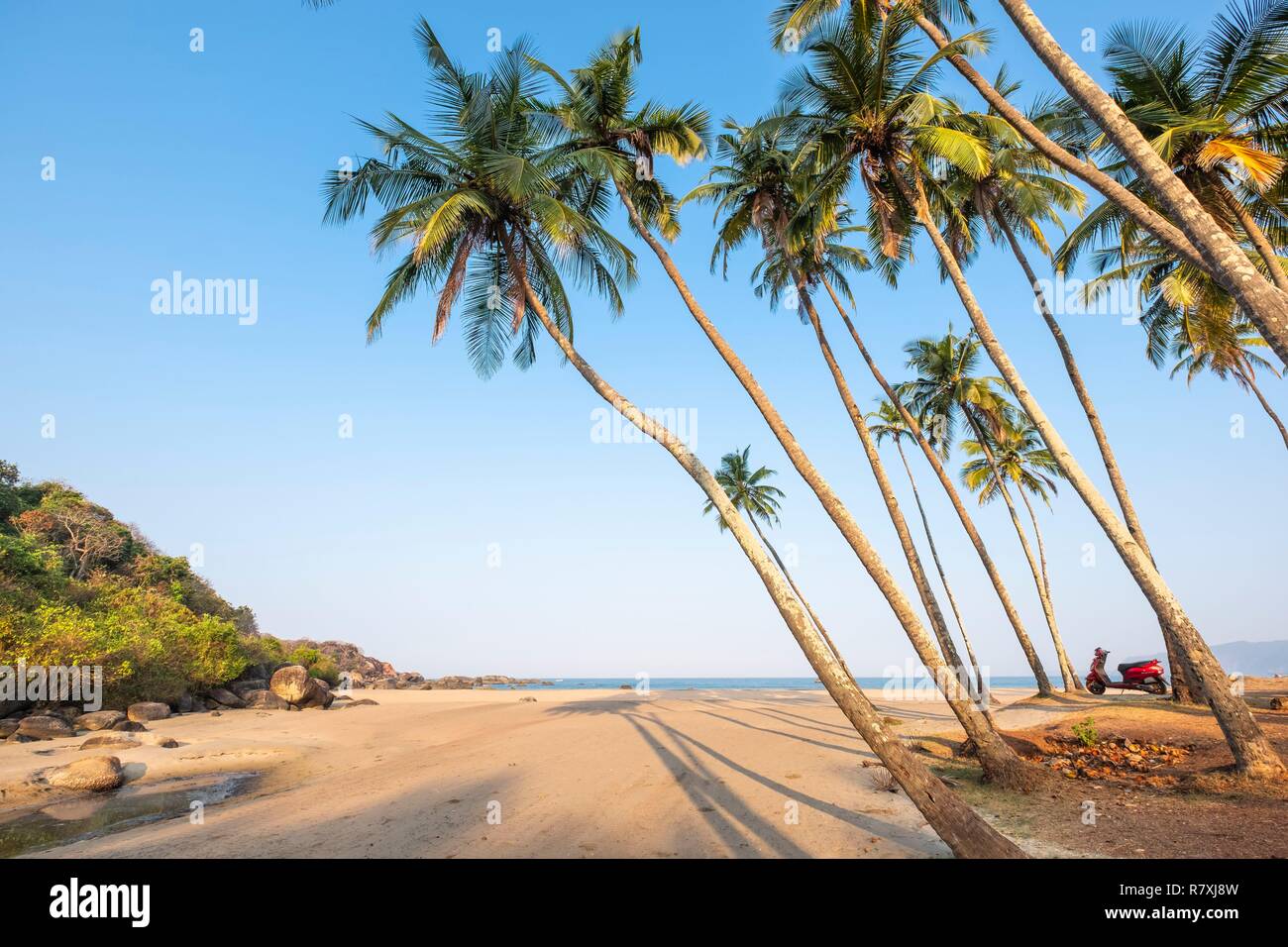 India, Goa, Agonda beach Stock Photo - Alamy