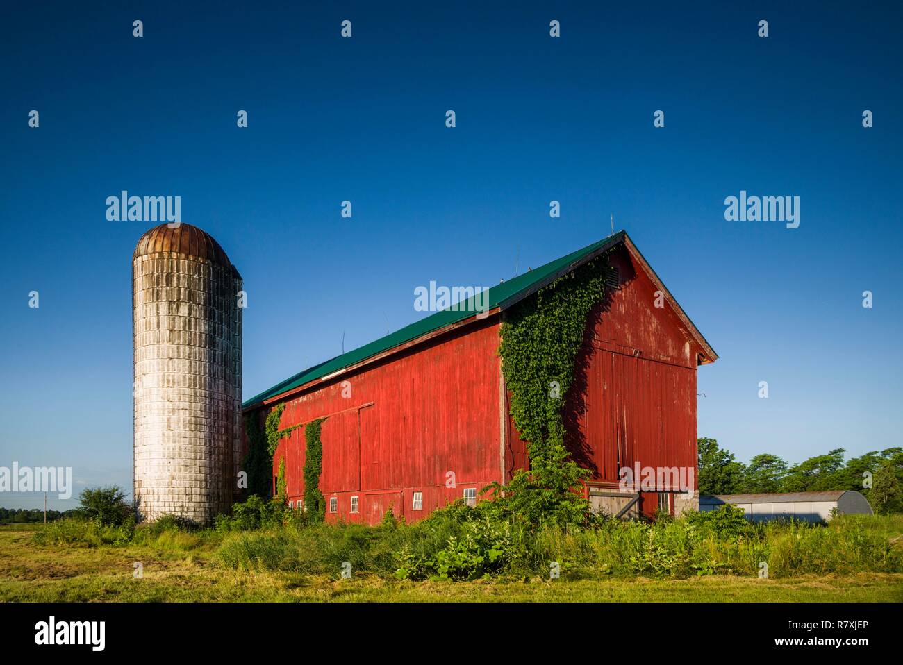 United States, New York, Finger Lakes Region, Seneca Falls, red barn ...