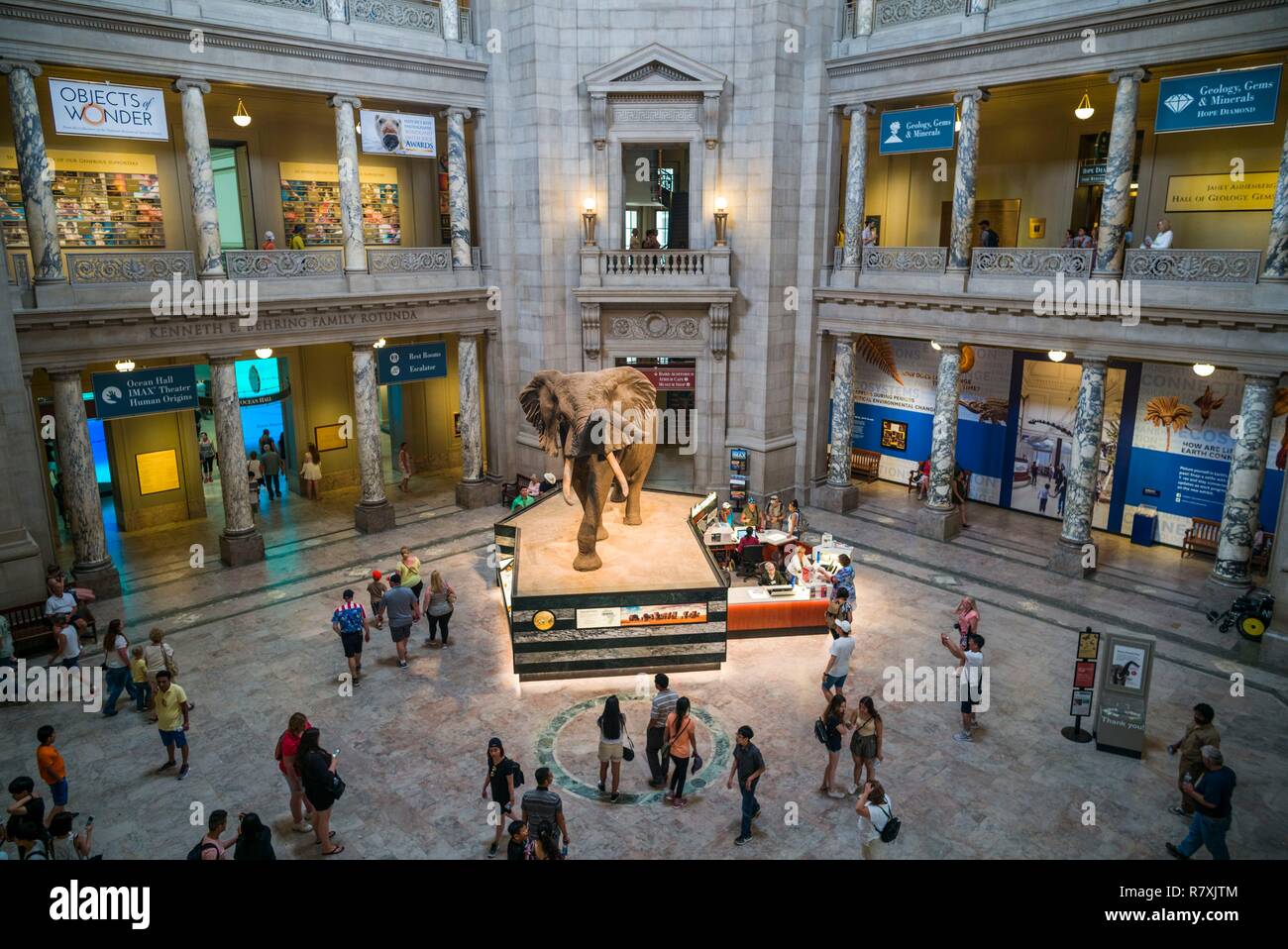 Lobby of the natural history museum hi-res stock photography and images ...