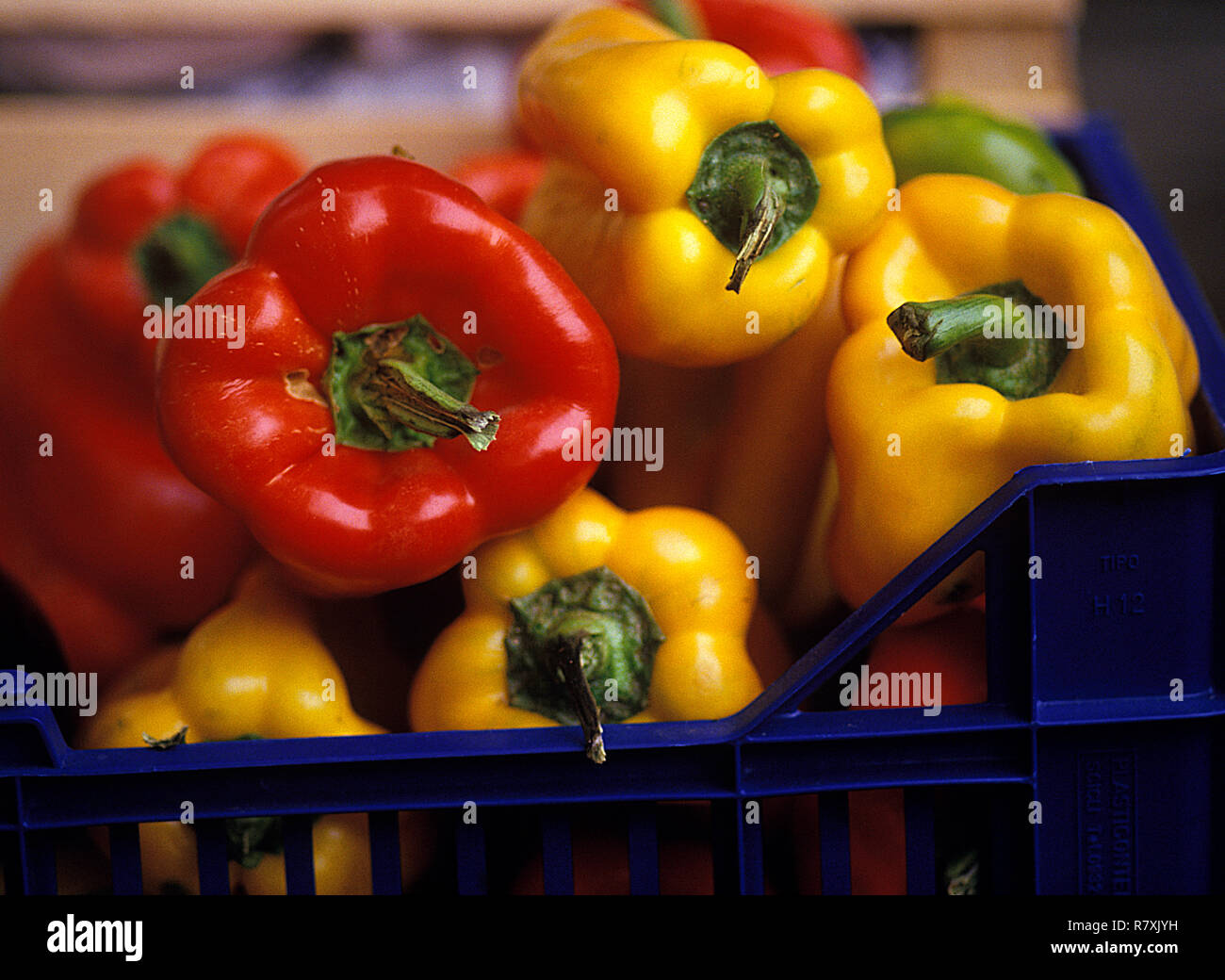 Close up of bell peppers Stock Photo - Alamy