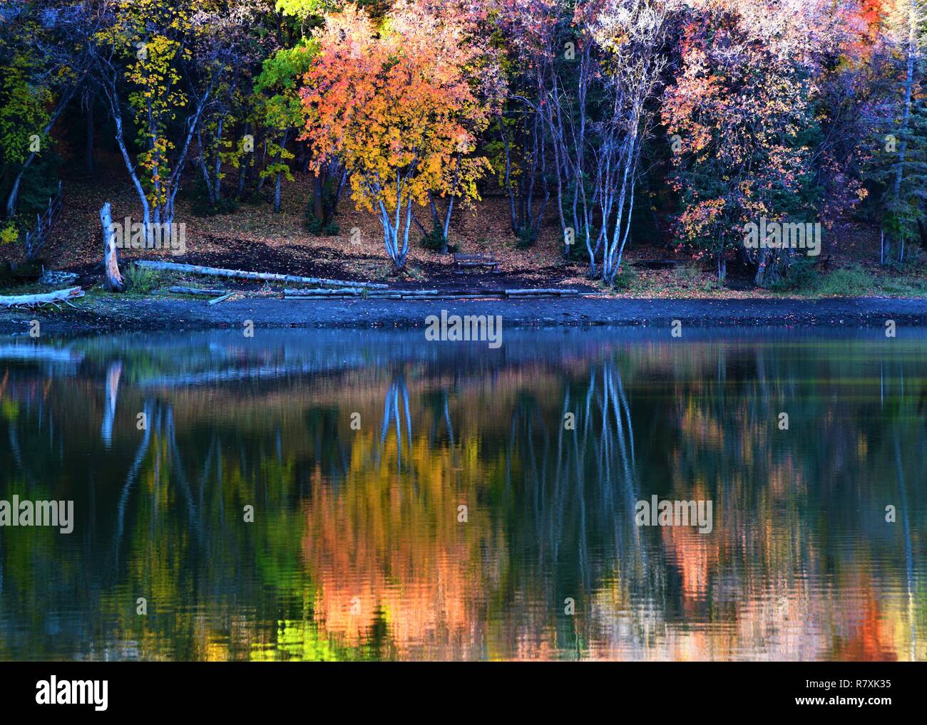 Solitude in autumn colors hi-res stock photography and images - Alamy