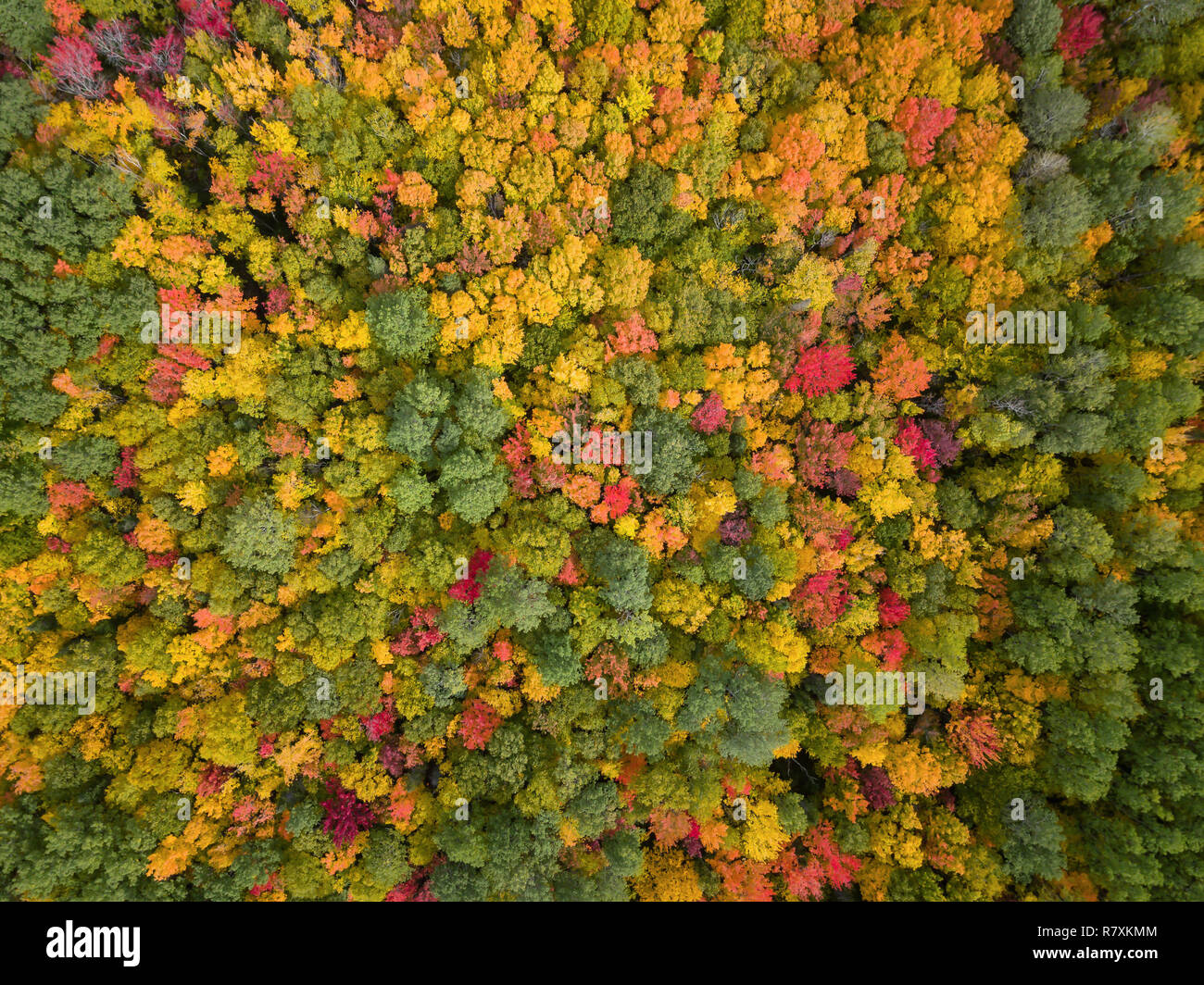 New brunswick autumn aerial hi-res stock photography and images - Alamy