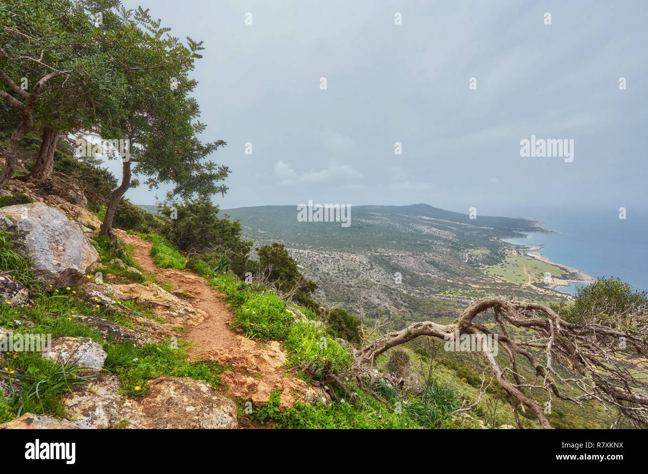 Cyprus Akamas Peninsula National Park mountain's top Stock Photo - Alamy