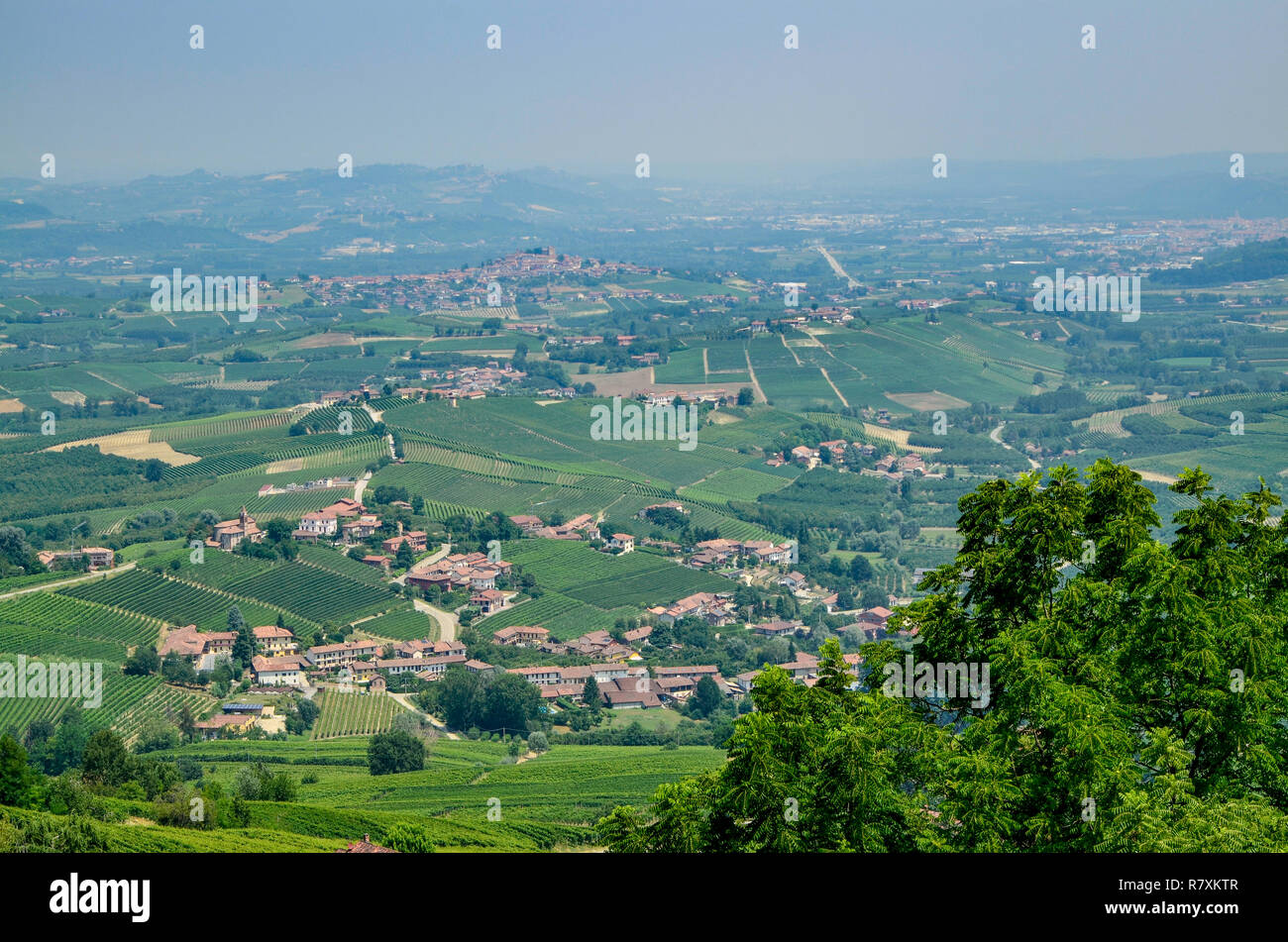 La Morra, province of Cuneo, Piedmont, Italy. July 15, 2018. In the ...