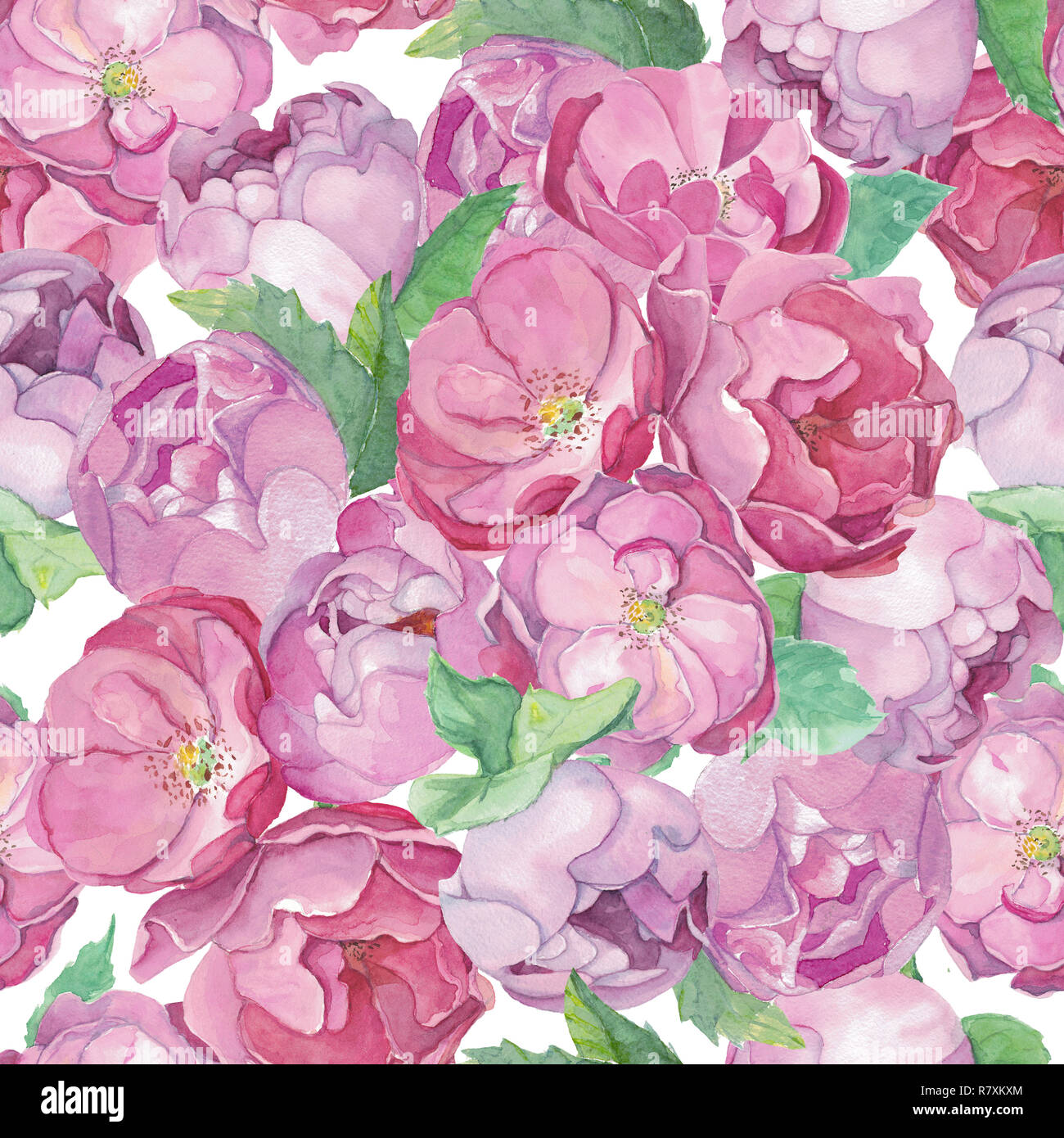 Watercolor hand-drawn pink roses and peonies seamless pattern. Design ...