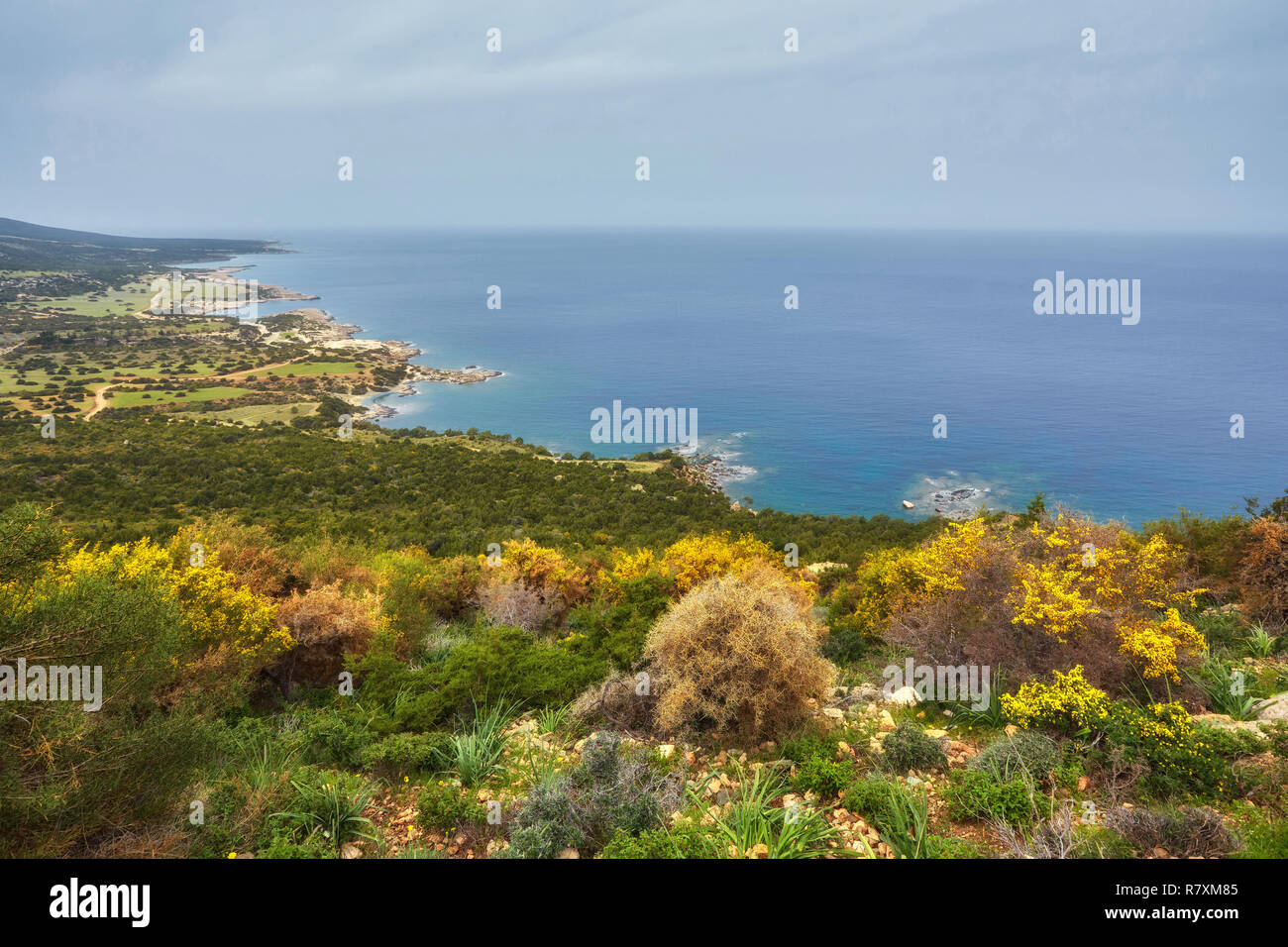 Cyprus Akamas Peninsula National Park mountain's top Stock Photo - Alamy