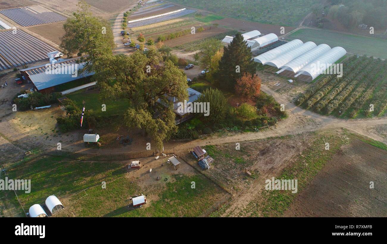 Aerial photo of packing shed, greenhouses, hoop houses, livestock ...