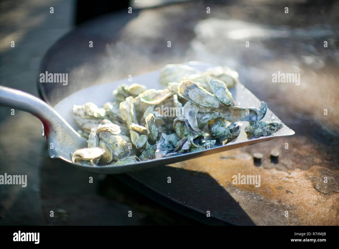 Barbecue oysters hi-res stock photography and images - Alamy