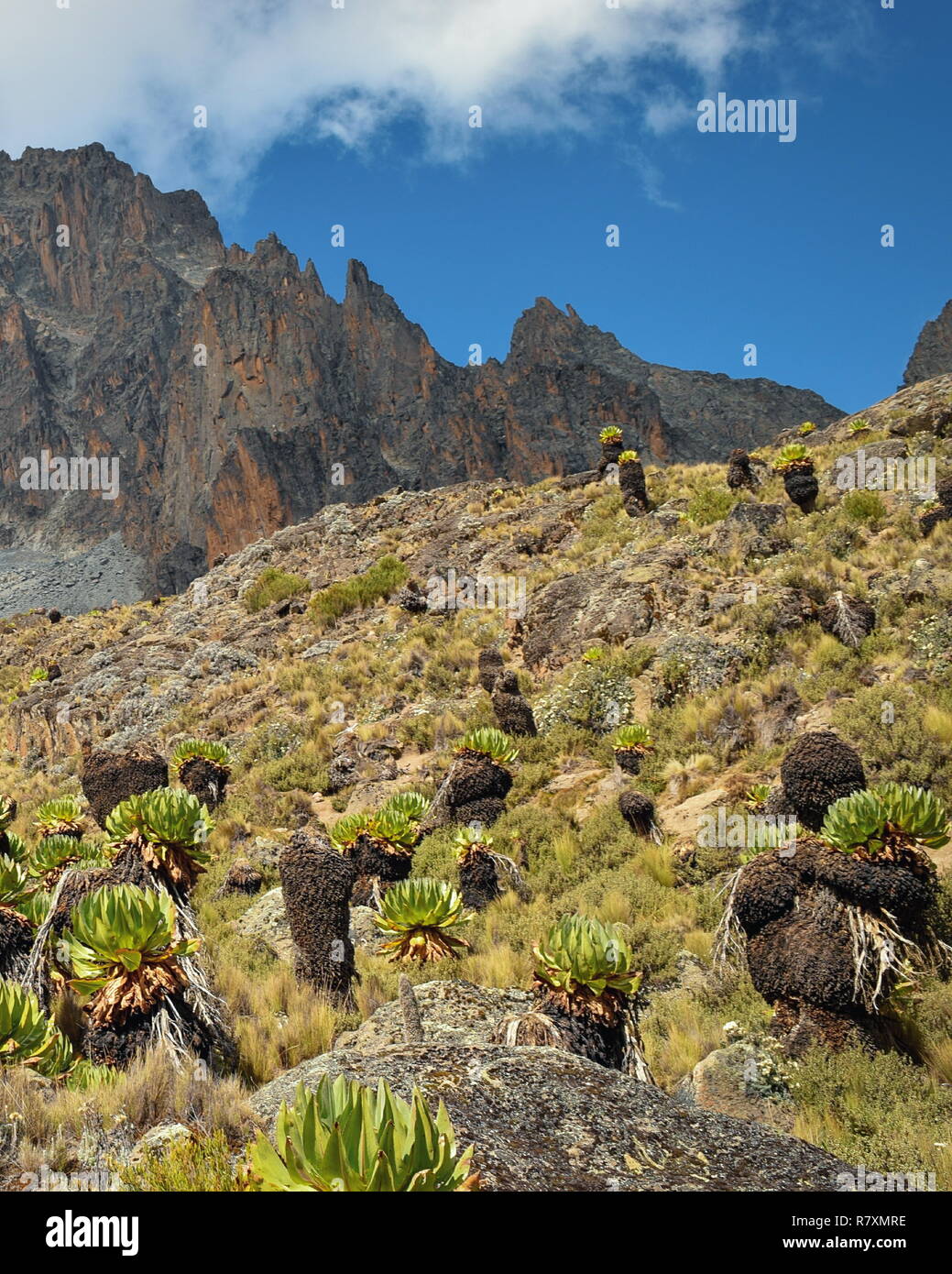 Sirmon gate hi-res stock photography and images - Alamy