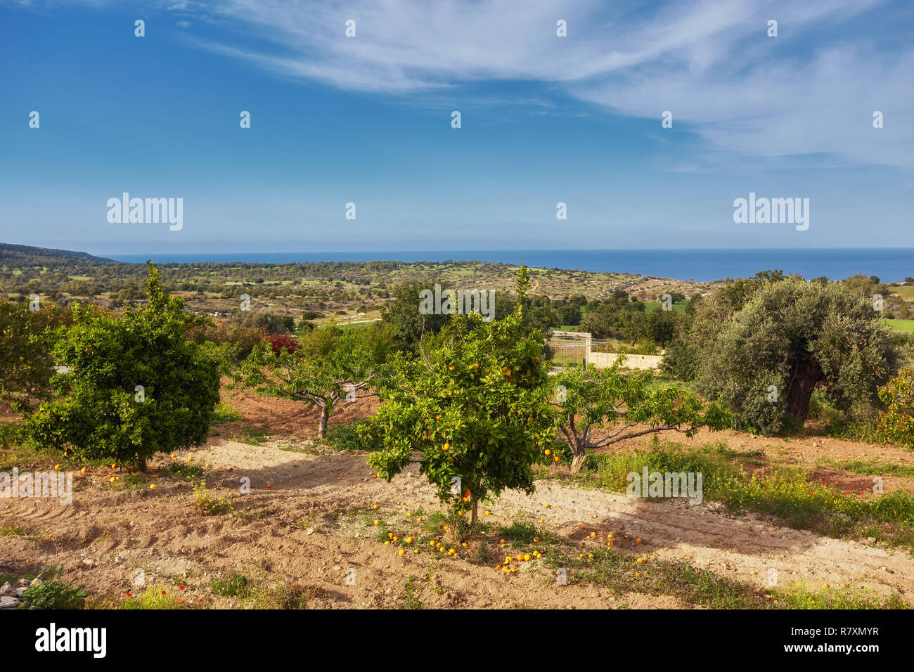 Cyprus Akamas Peninsula National Park mountain's top Stock Photo - Alamy